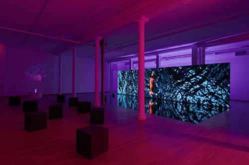 Emilija Škarnulytė | Canal Projects