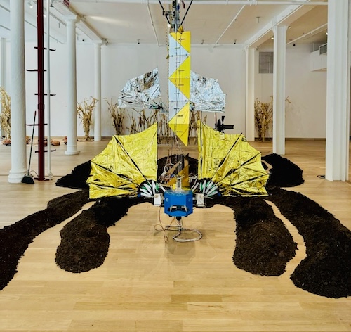 Fernando Palma Rodríguez | Canal Projects